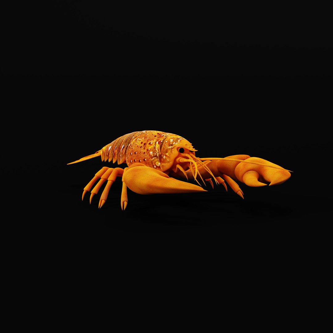 American Lobster 3D Model - TurboSquid 2378964