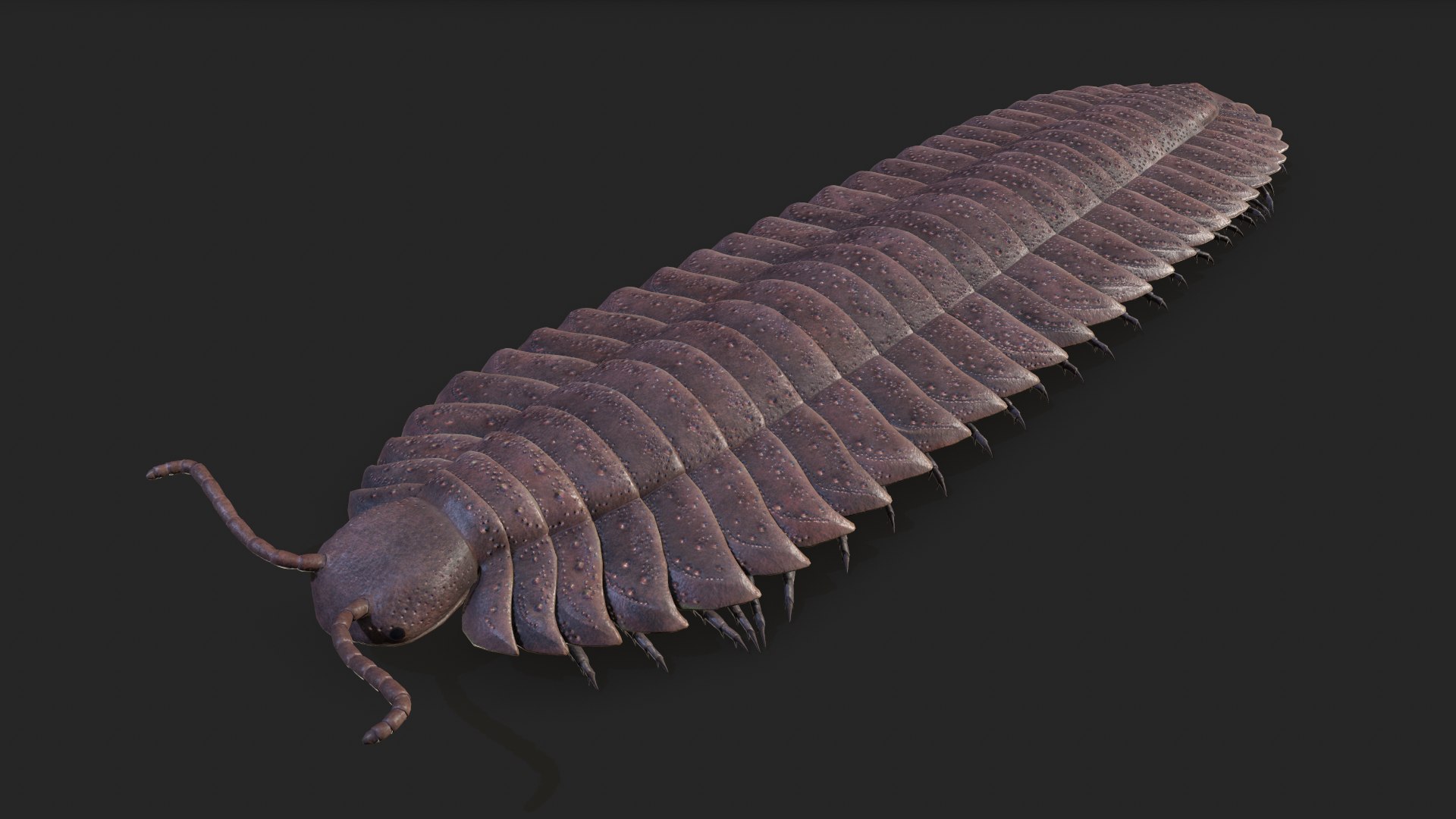 3D Arthropleura Armata - TurboSquid 1471828