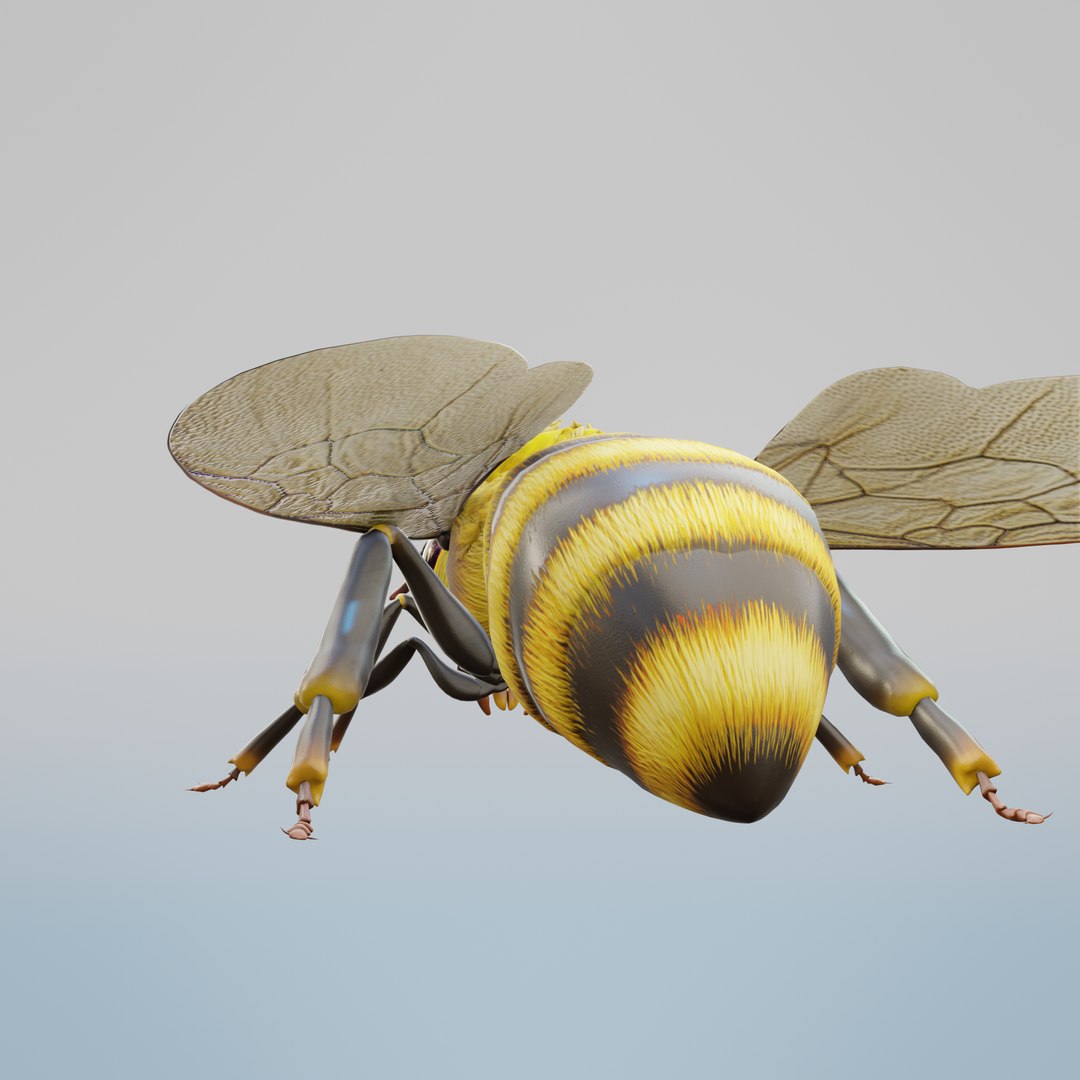 3D Bee 3d Model Animated Model - TurboSquid 2262077