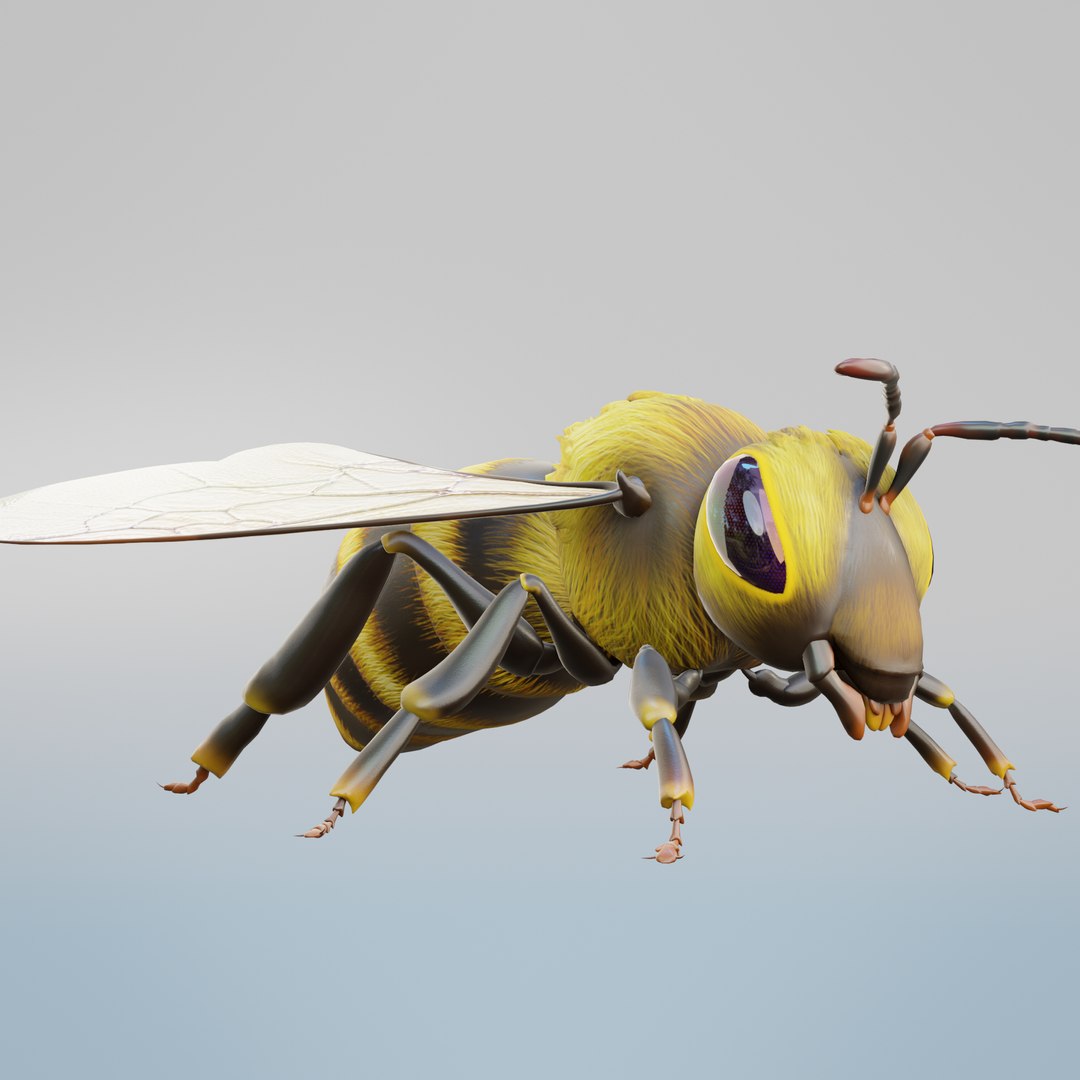 3D Bee 3d Model Animated Model - TurboSquid 2262077