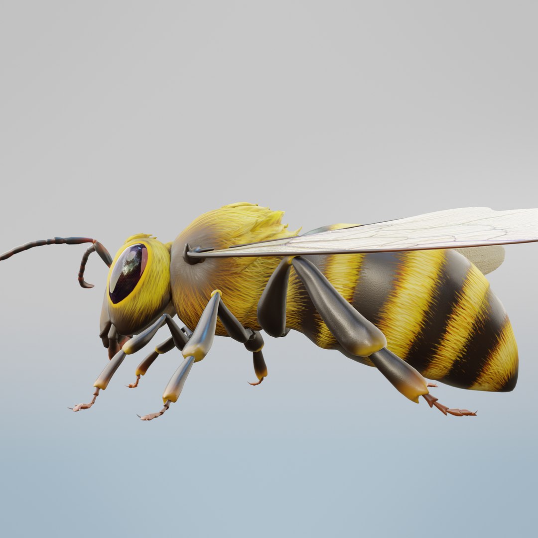 3D Bee 3d Model Animated Model - TurboSquid 2262077