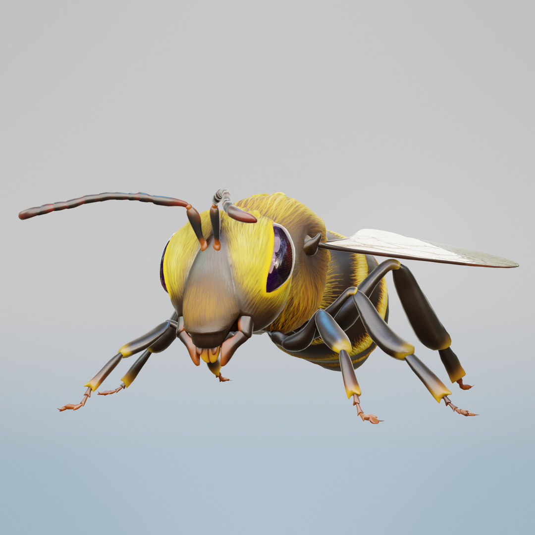 3D Bee 3d Model Animated Model - TurboSquid 2262077