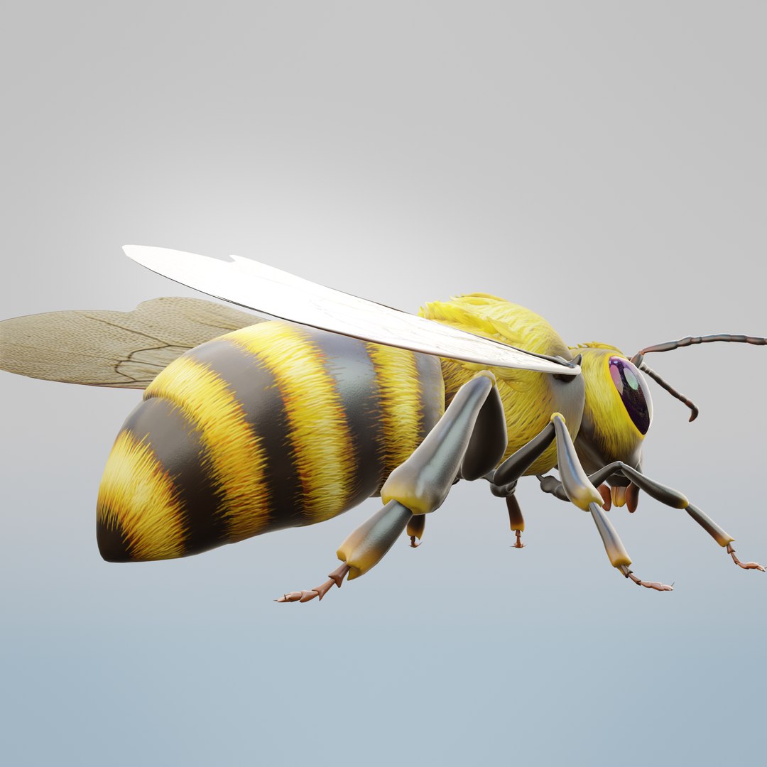 3D Bee 3d Model Animated Model - TurboSquid 2262077