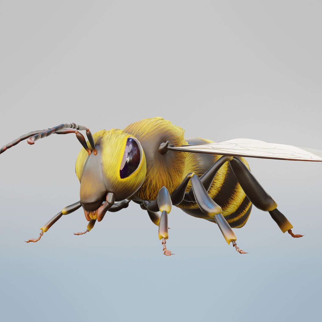 3D Bee 3d Model Animated Model - TurboSquid 2262077