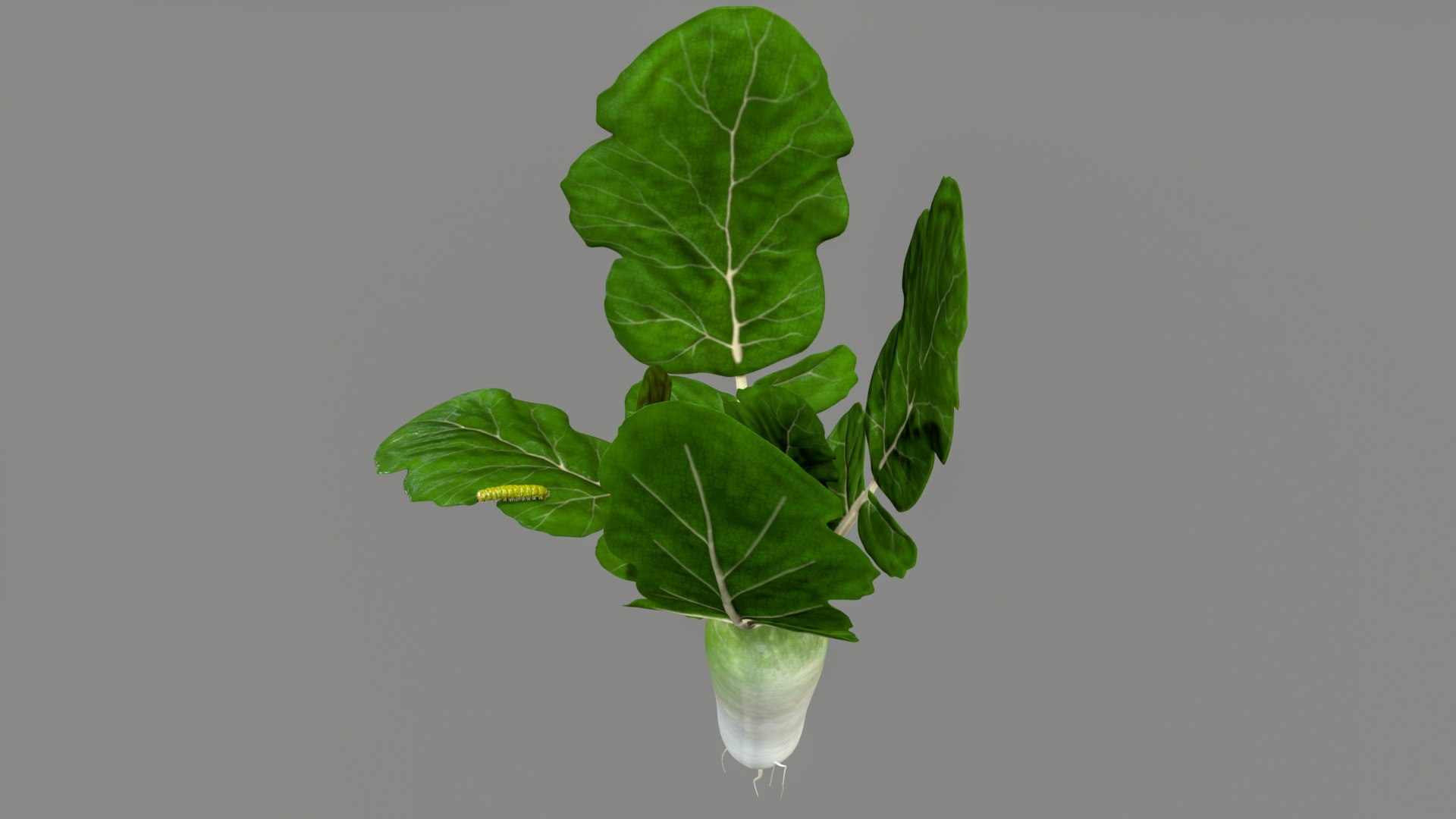 Butterfly Larva 3D - TurboSquid 2404546