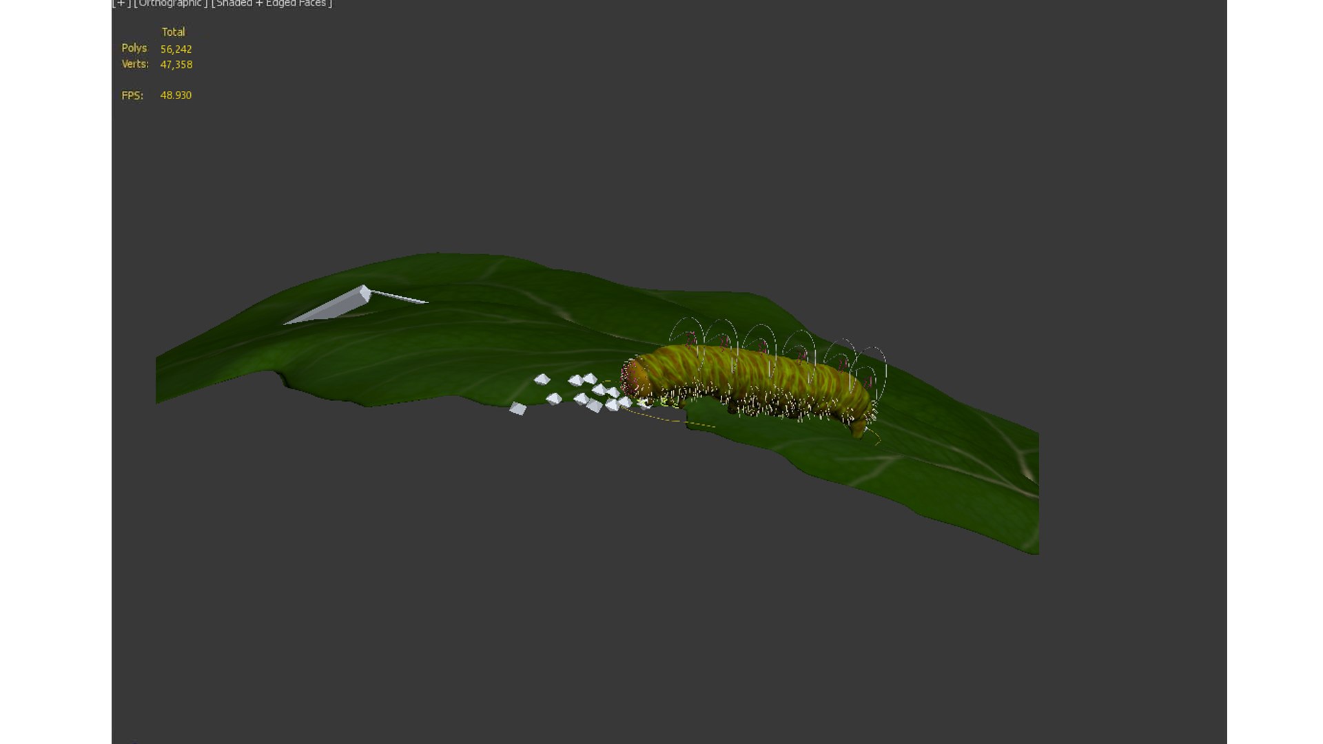 Butterfly Larva 3D - TurboSquid 2404546