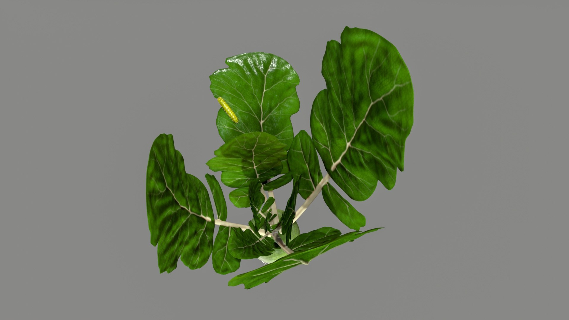 Butterfly Larva 3D - TurboSquid 2404546