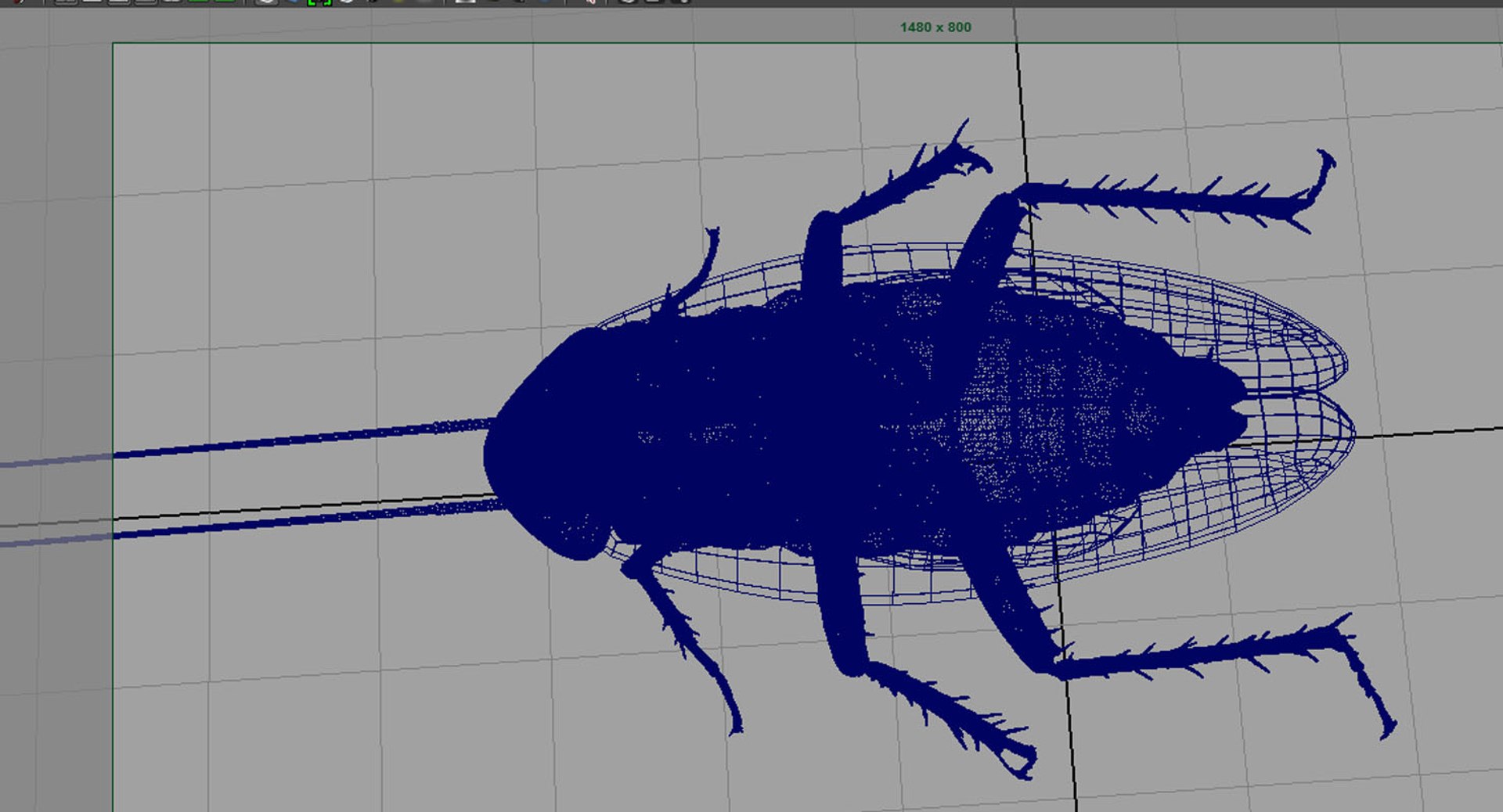 3D Cockroach Model - TurboSquid 1460171