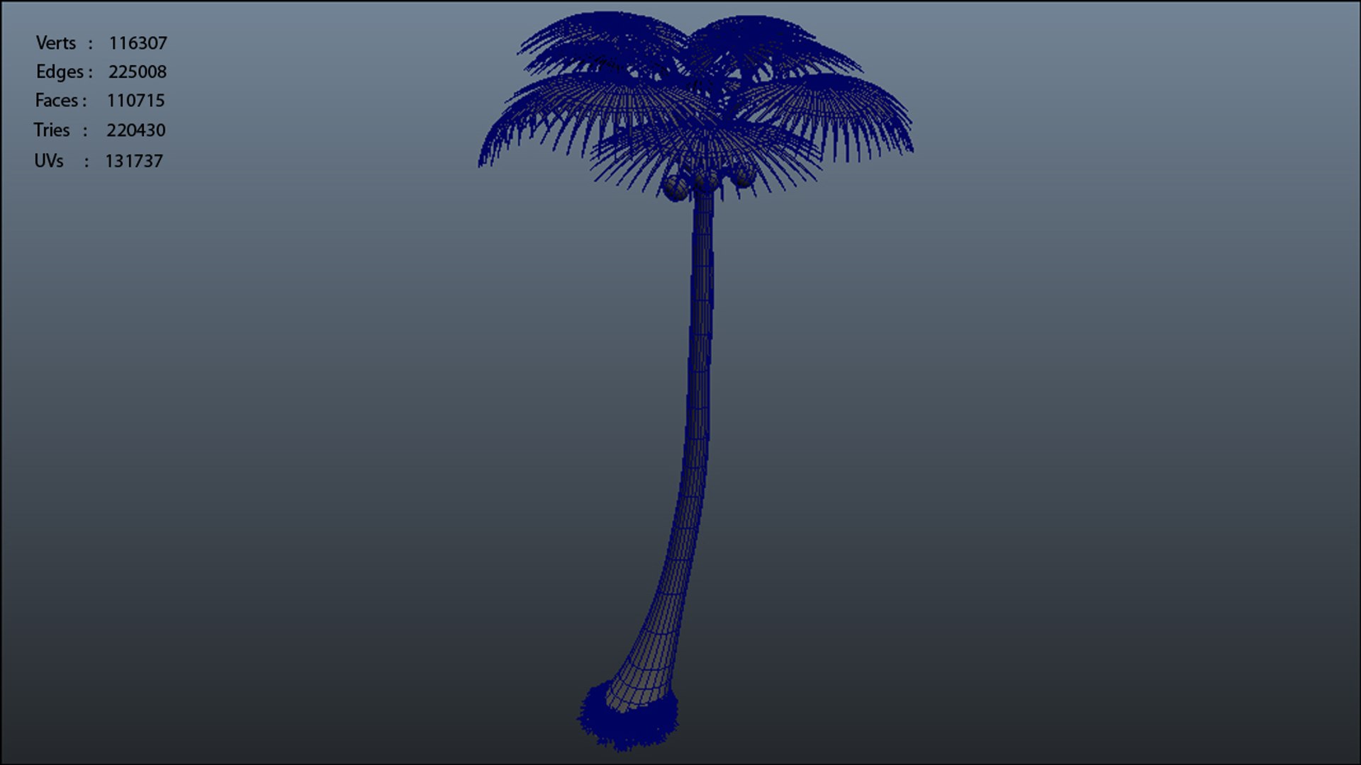 palm trees obj