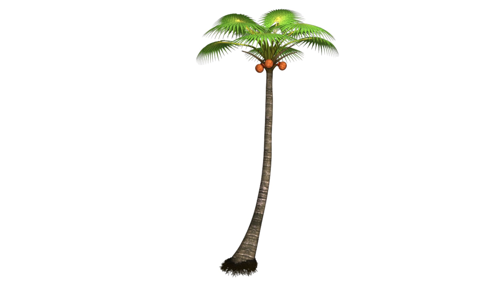 palm trees obj