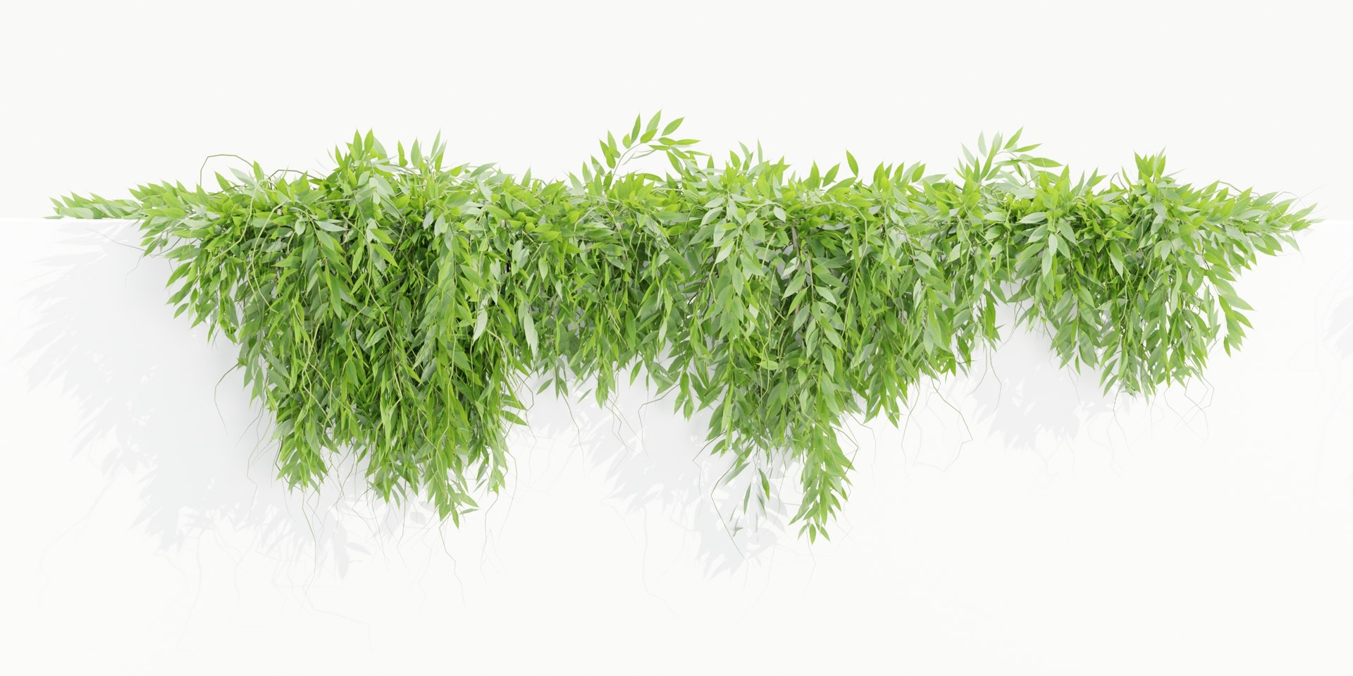 Hanging Wall Plants Collection Vol 109-Blender 3D - TurboSquid 2138350