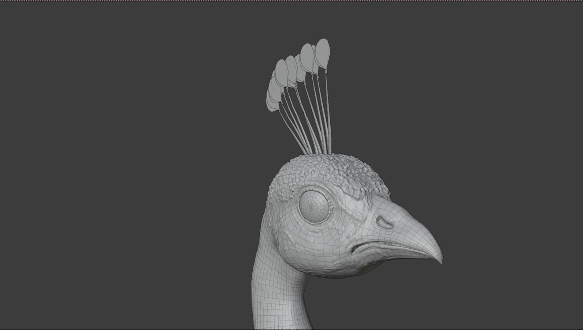 Peacock Model - TurboSquid 1909551