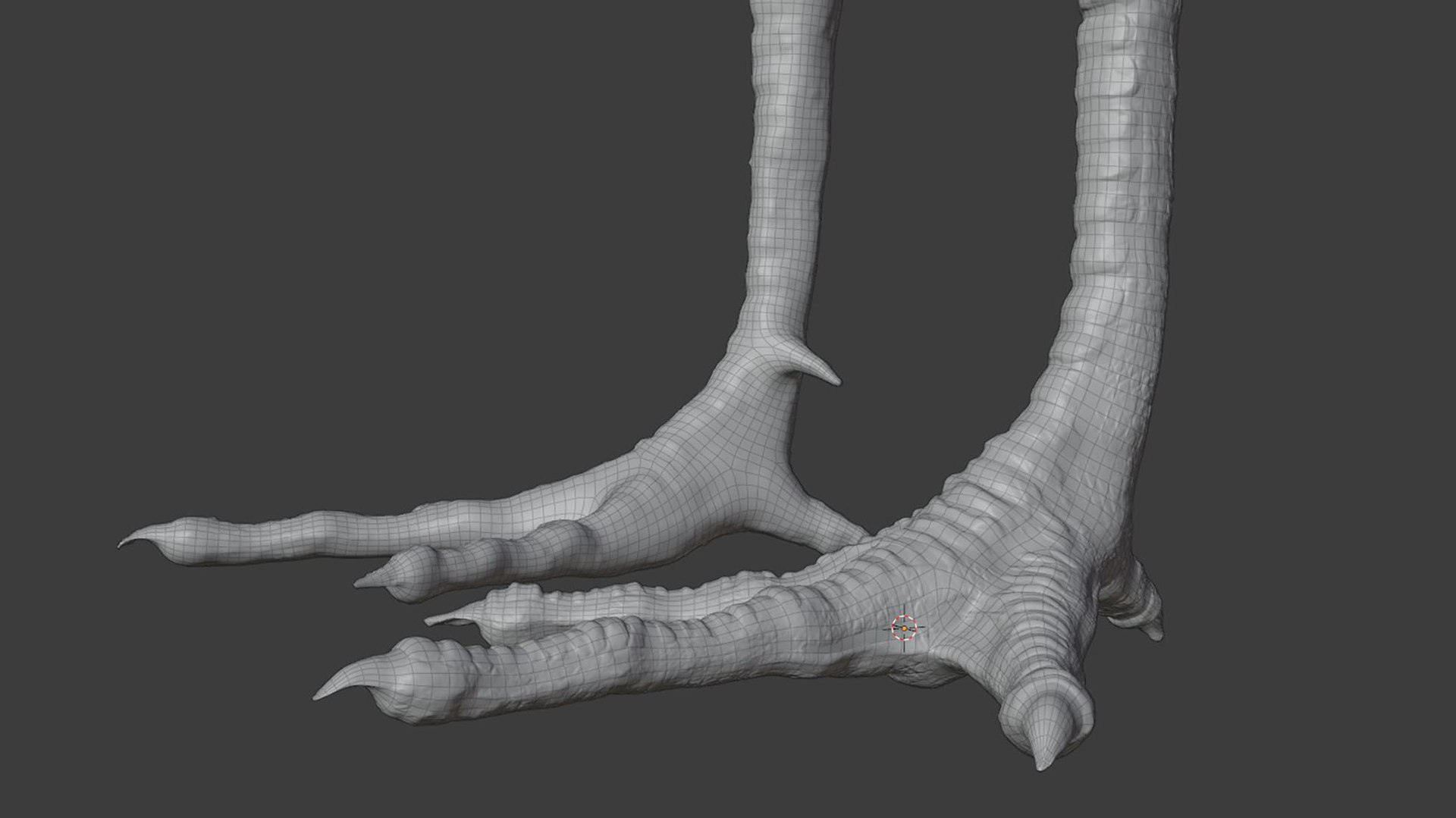 Peacock Model - TurboSquid 1909551