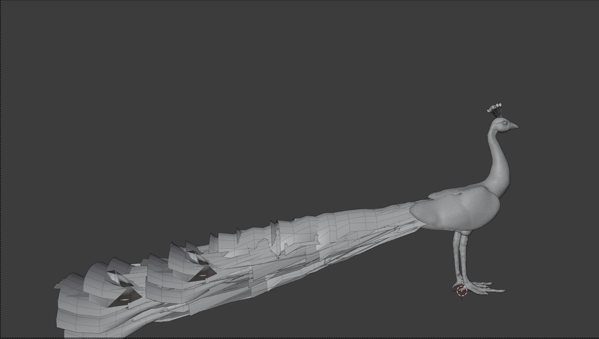 Peacock Model - TurboSquid 1909551