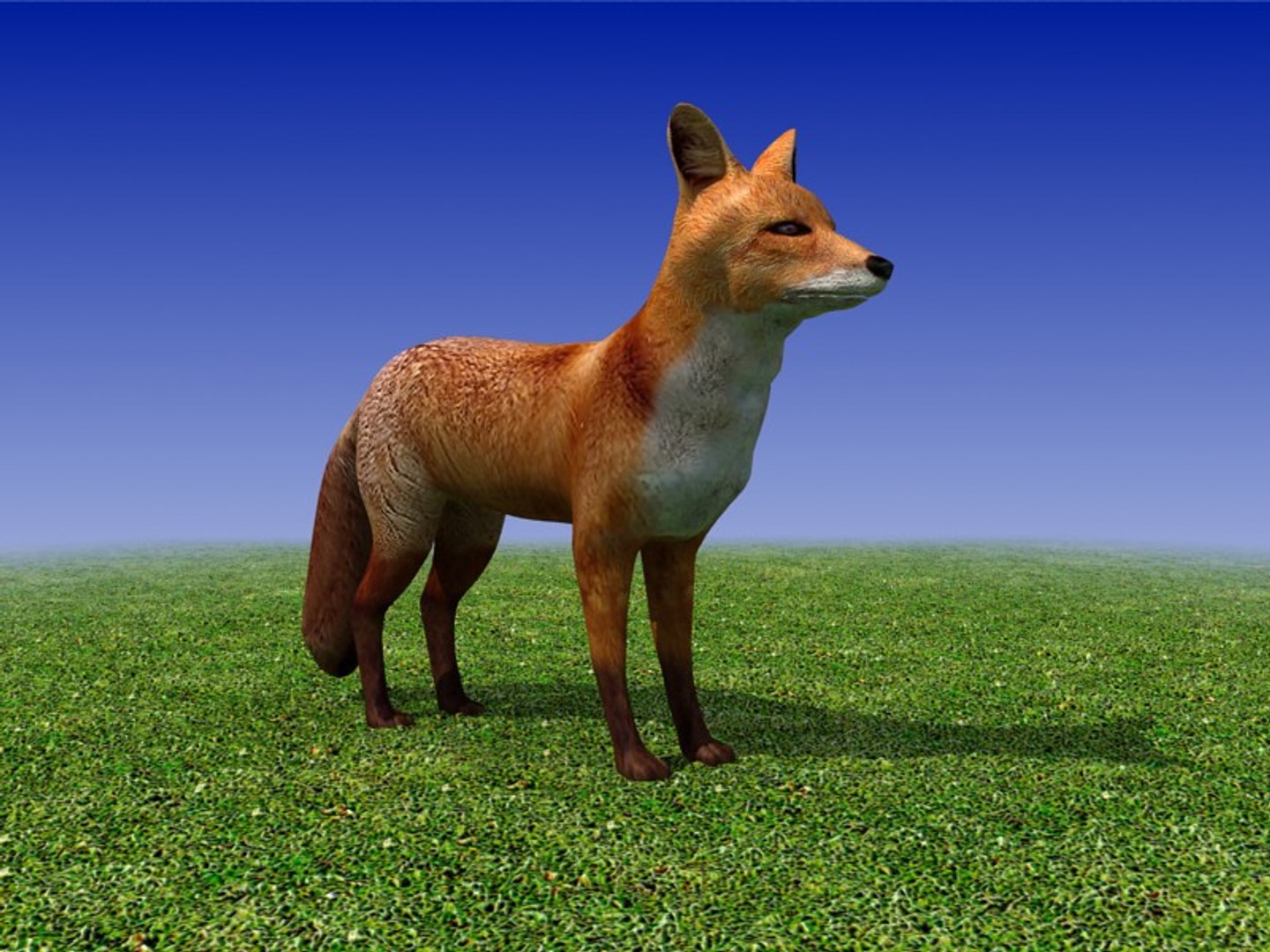 Red Fox 3d Max