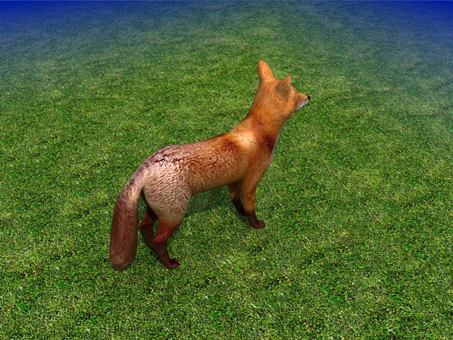 Red Fox 3d Max