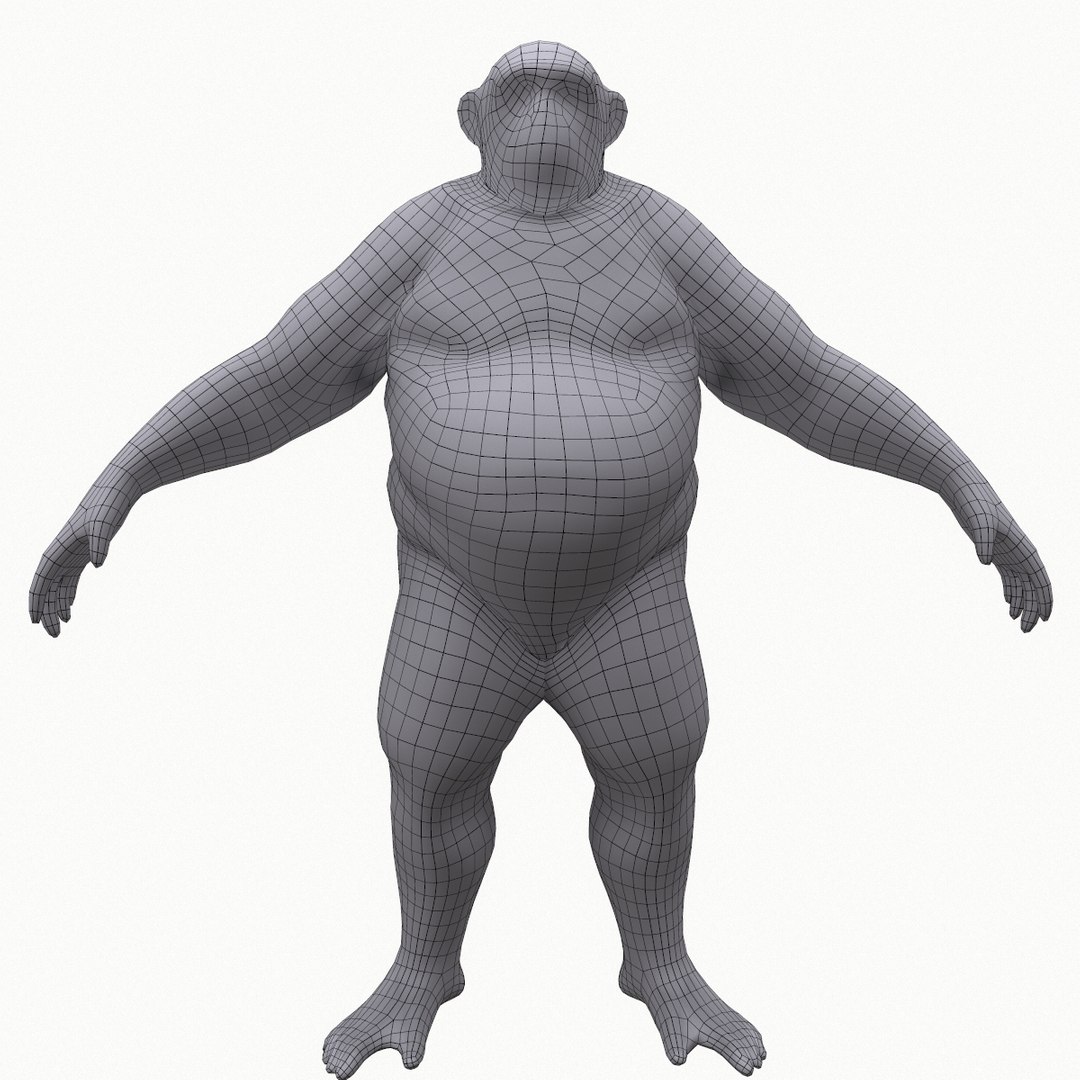 Base Mesh Primate 3D - TurboSquid 1403026