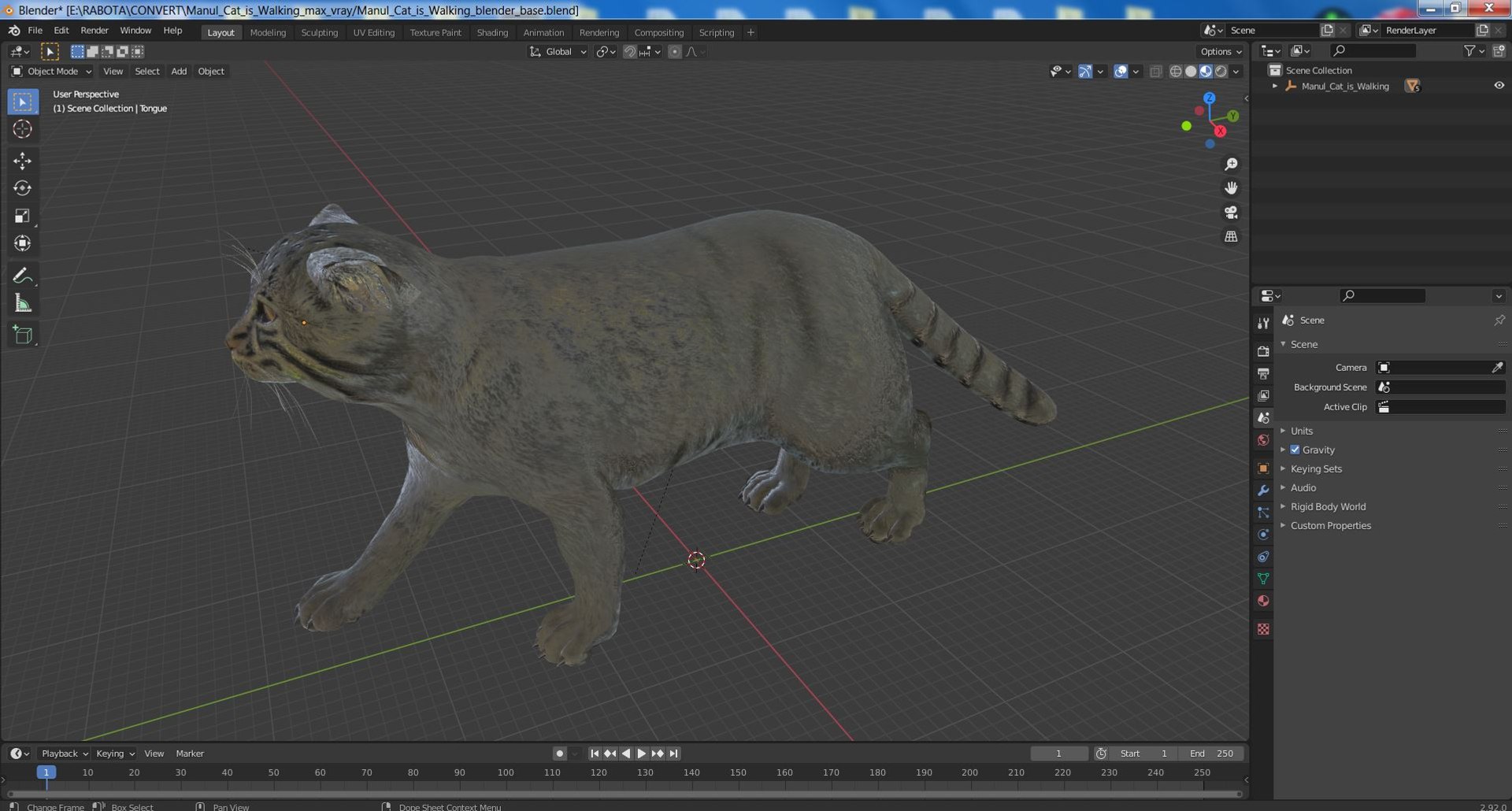 3D Manul Cat Is Walking Model - TurboSquid 2198535