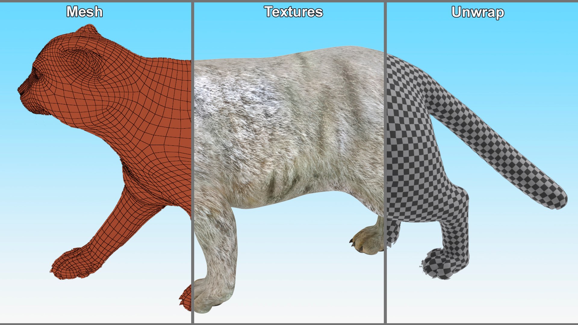 3D Manul Cat Is Walking Model - TurboSquid 2198535