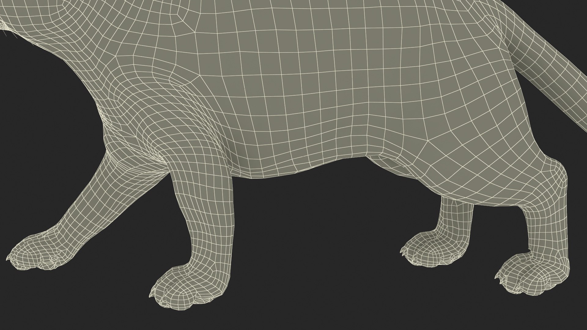 3D Manul Cat Is Walking Model - TurboSquid 2198535