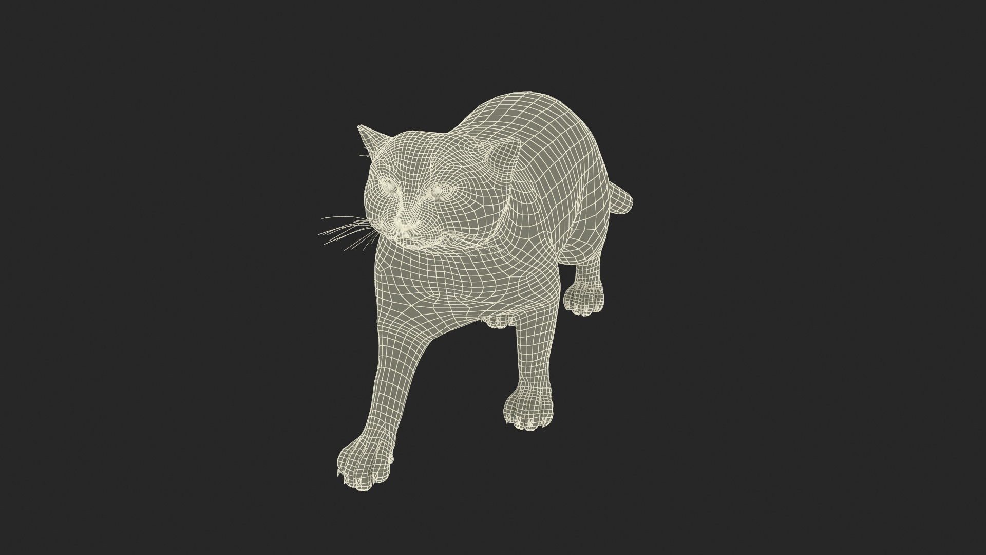 3D Manul Cat Is Walking Model - TurboSquid 2198535