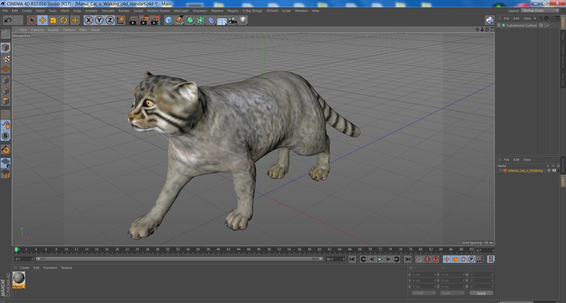 3D Manul Cat Is Walking Model - TurboSquid 2198535