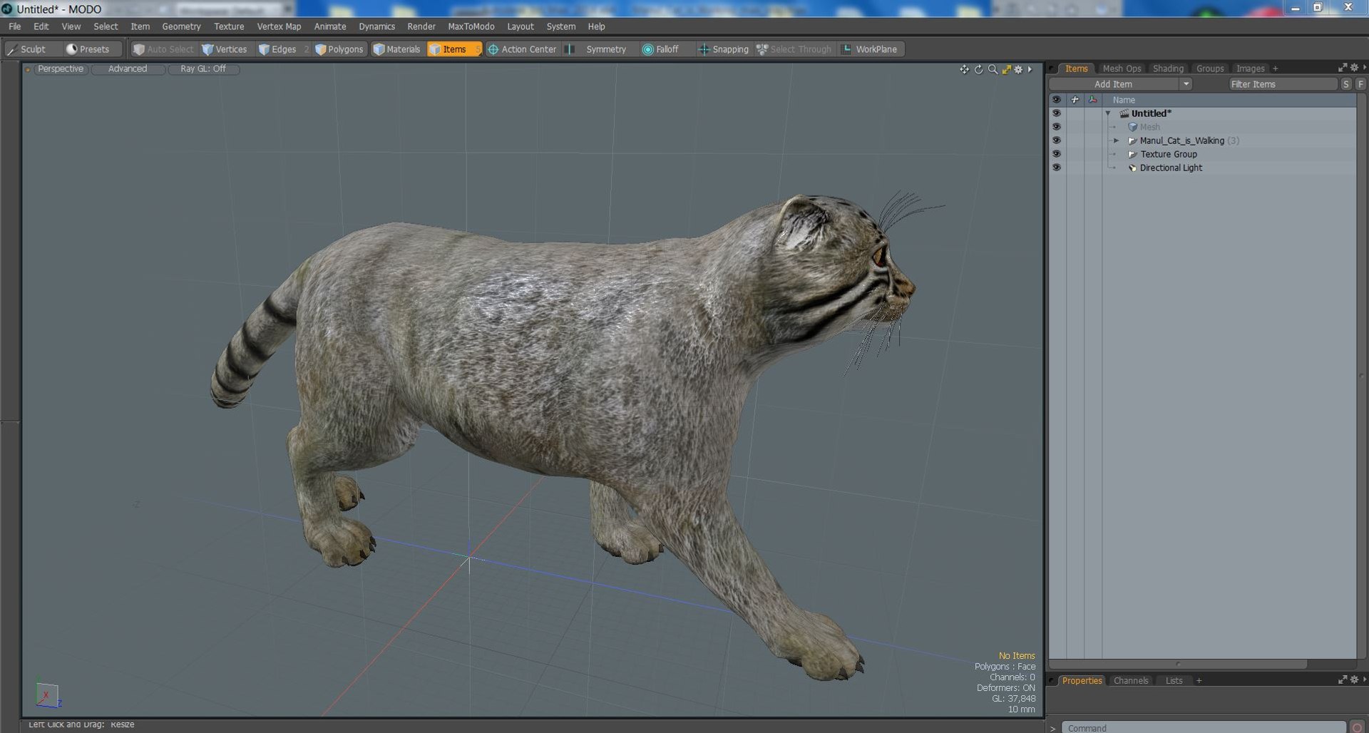 3D Manul Cat Is Walking Model - TurboSquid 2198535