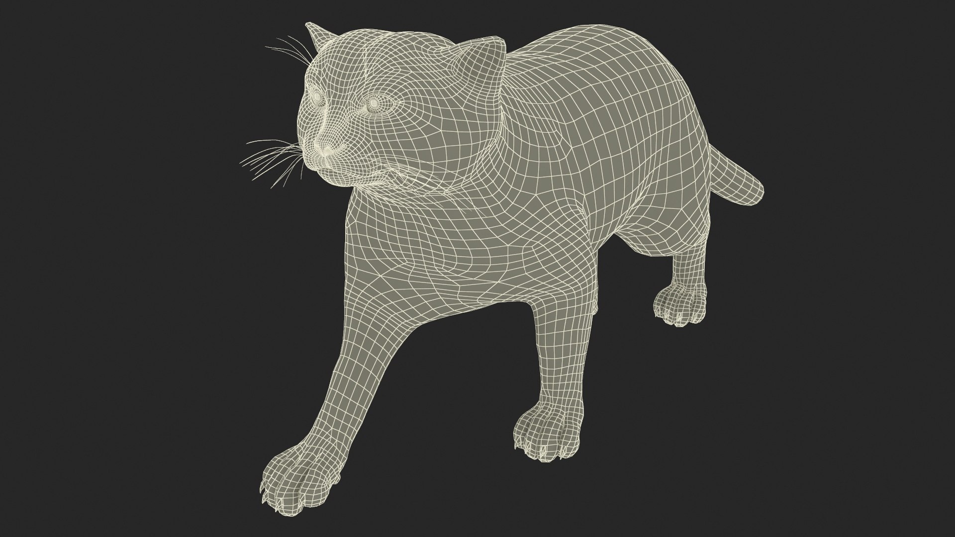 3D Manul Cat Is Walking Model - TurboSquid 2198535