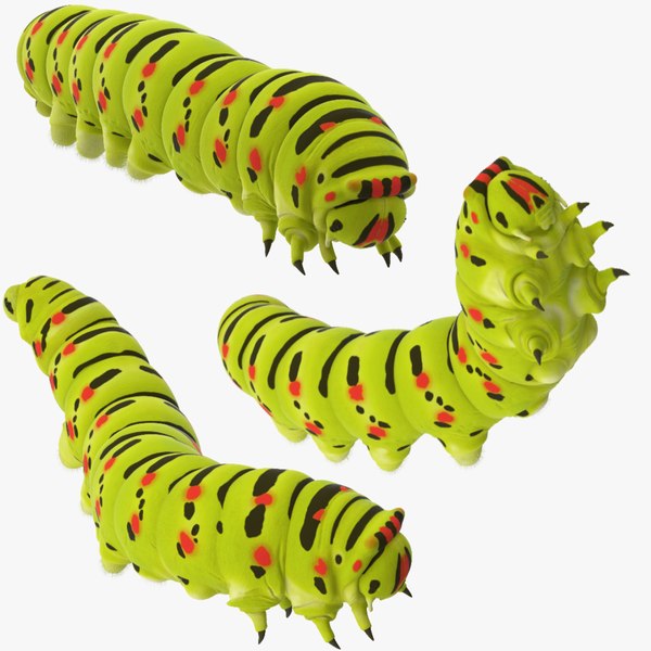Collection Caterpillar 3D Models for Download | TurboSquid