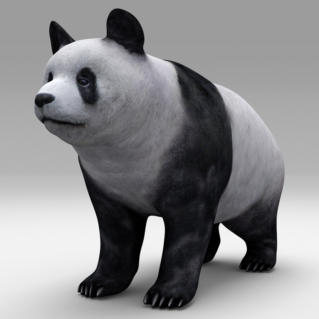 Giant Panda 3ds