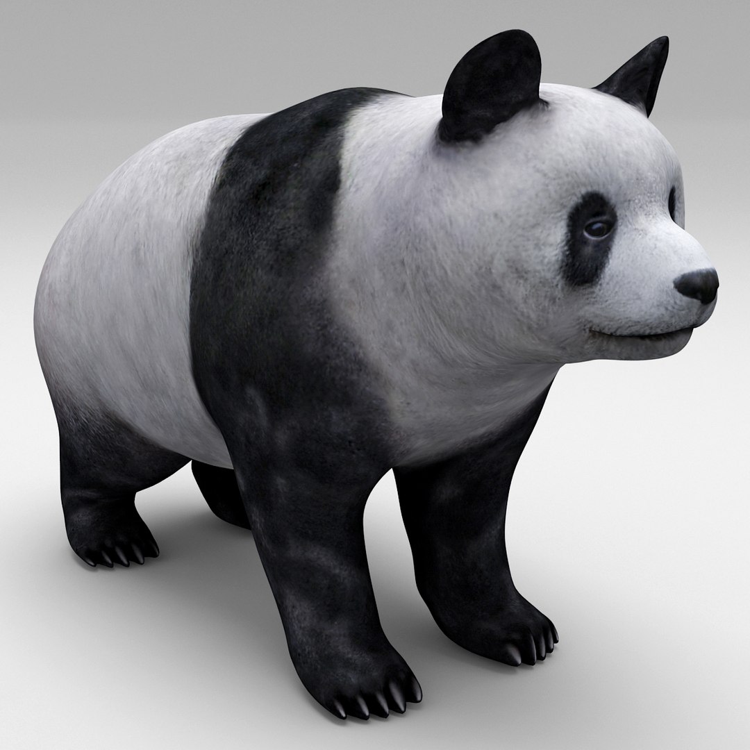 Giant Panda 3ds