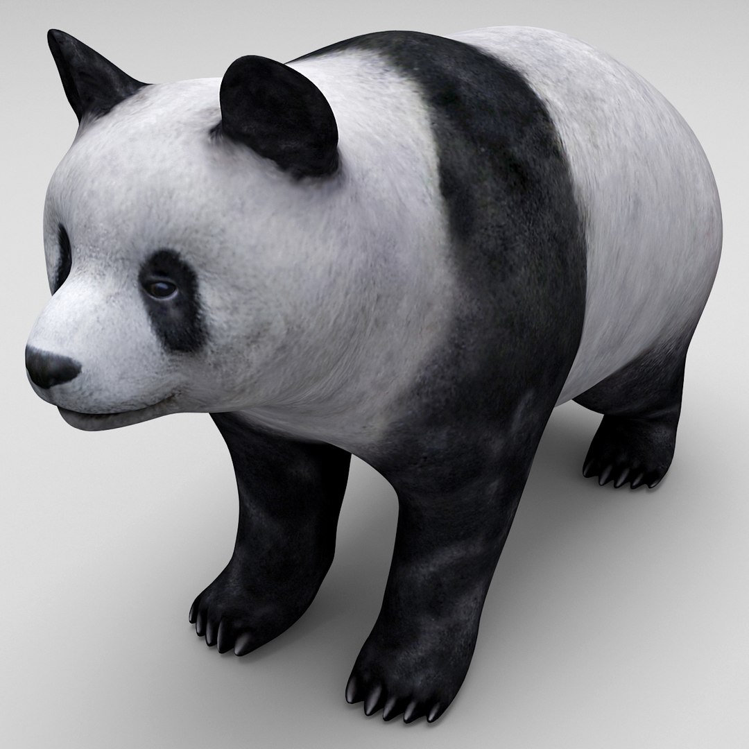 Giant Panda 3ds