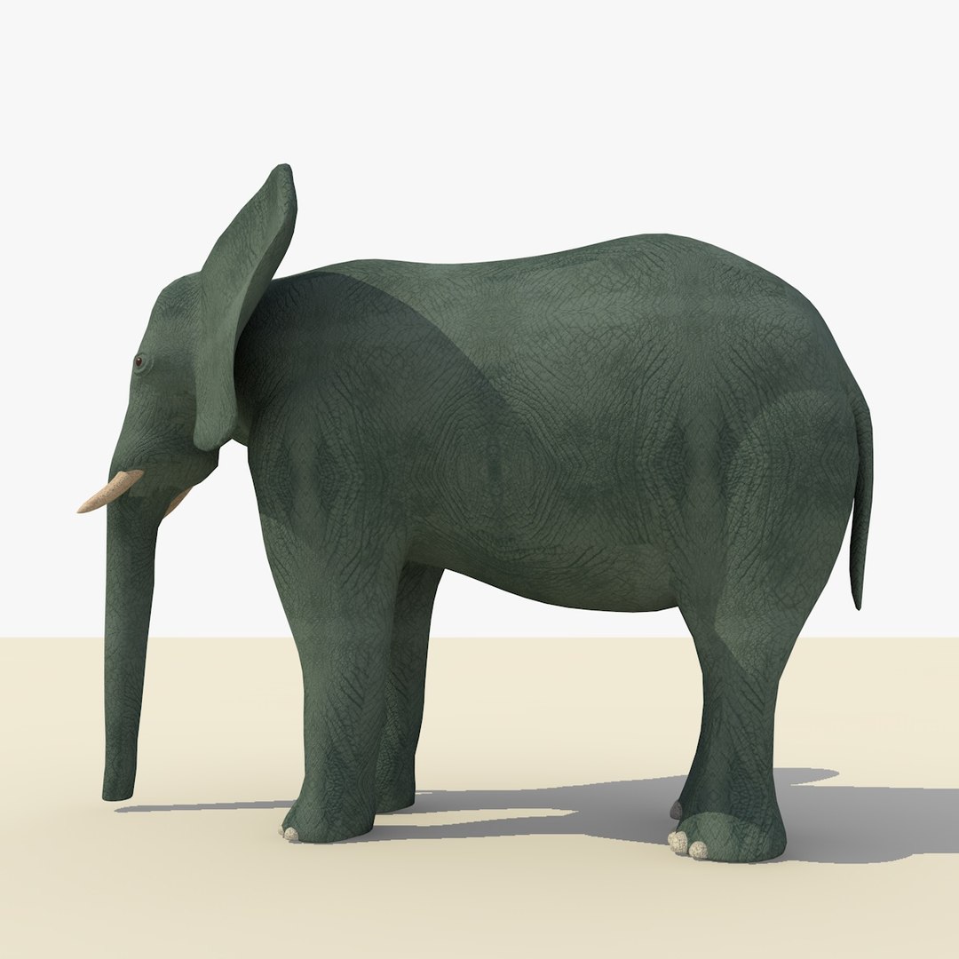 Blue Elephant Animations C4d