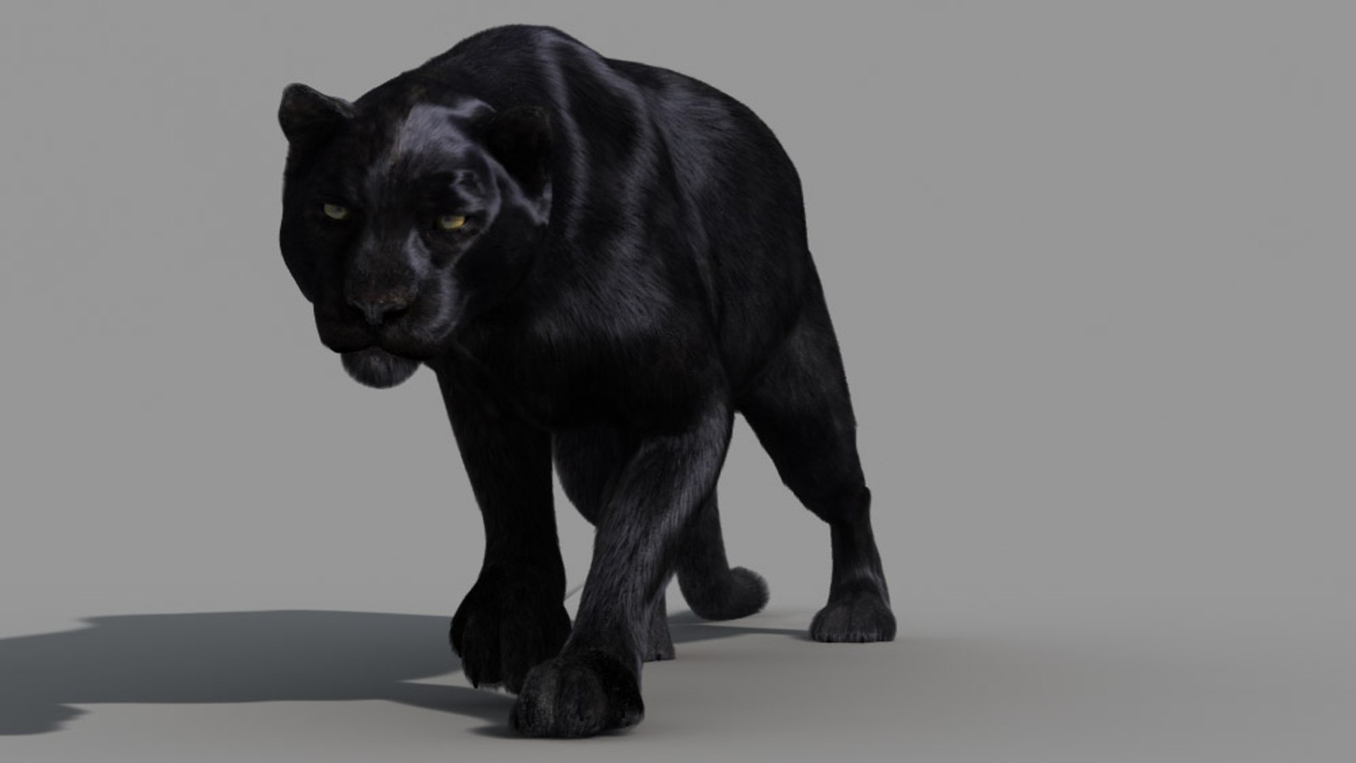 3D Model Black Panther Animation - TurboSquid 1278634
