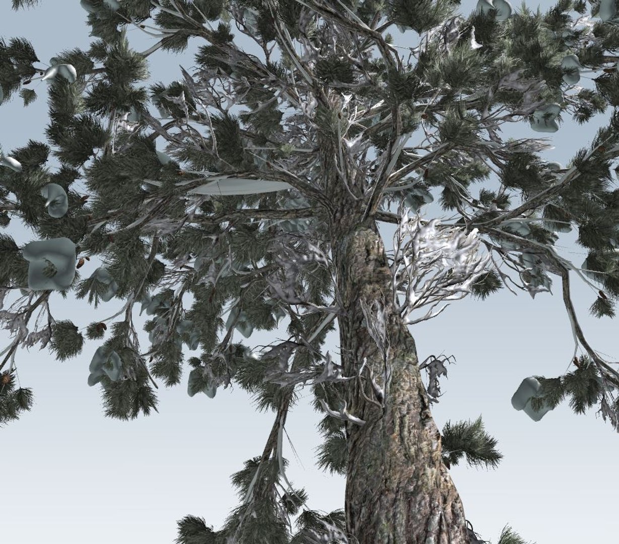 Tree winter pine model - TurboSquid 1367289