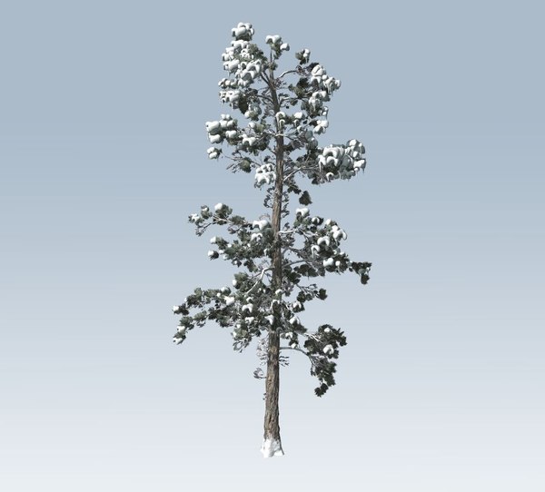 Rhino Tree Models | TurboSquid
