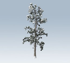 Pine tree model - TurboSquid 1381288