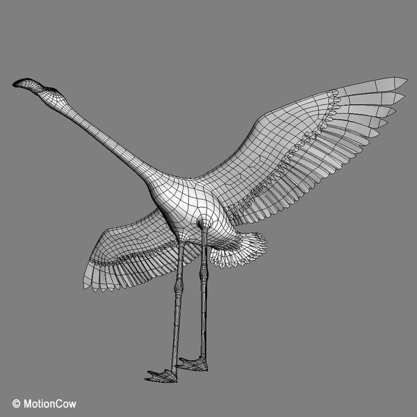3d model realistic flying flamingo