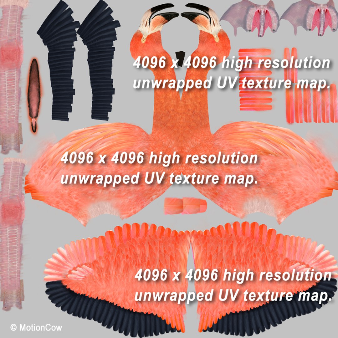 3d Model Realistic Flying Flamingo