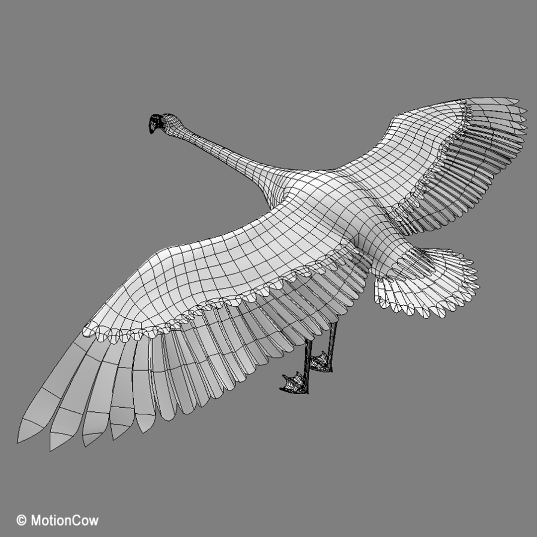 3d model realistic flying flamingo