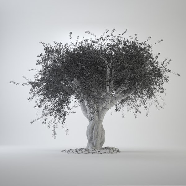 3d model of big olive tree