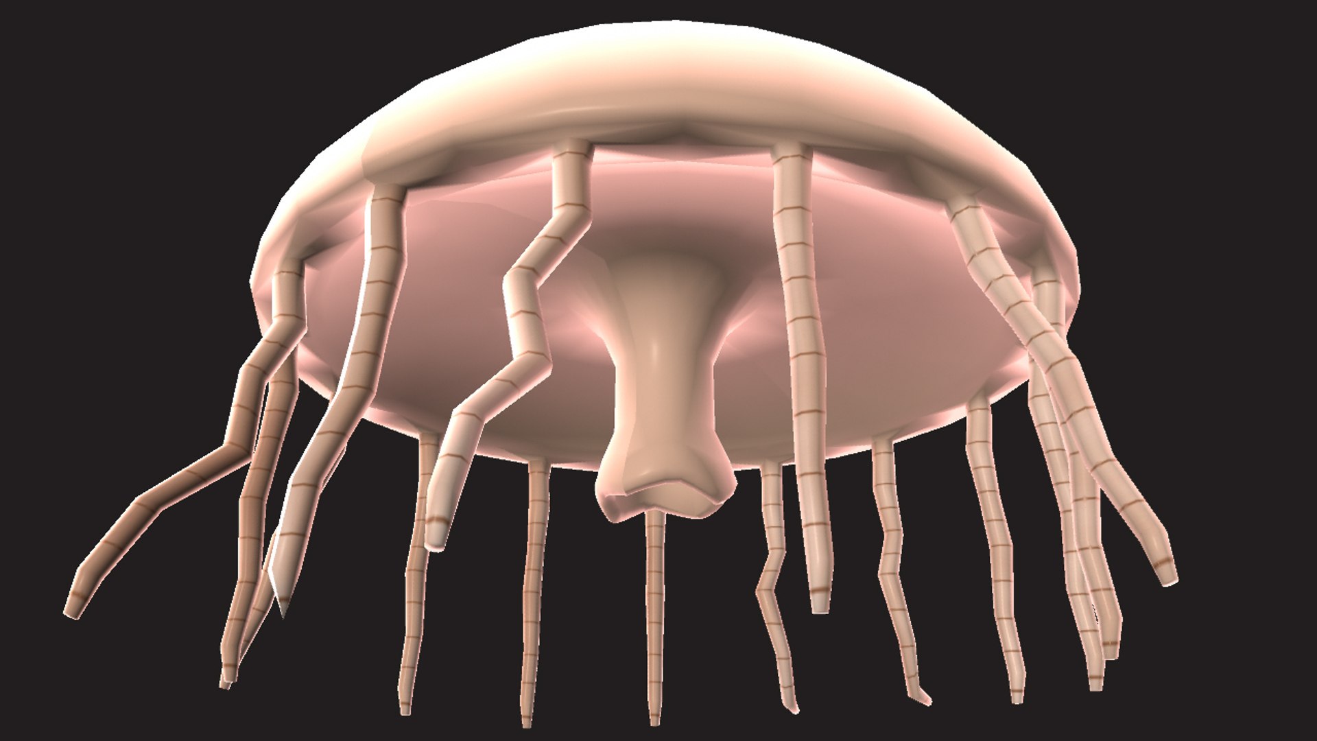 Medusa 3d Model