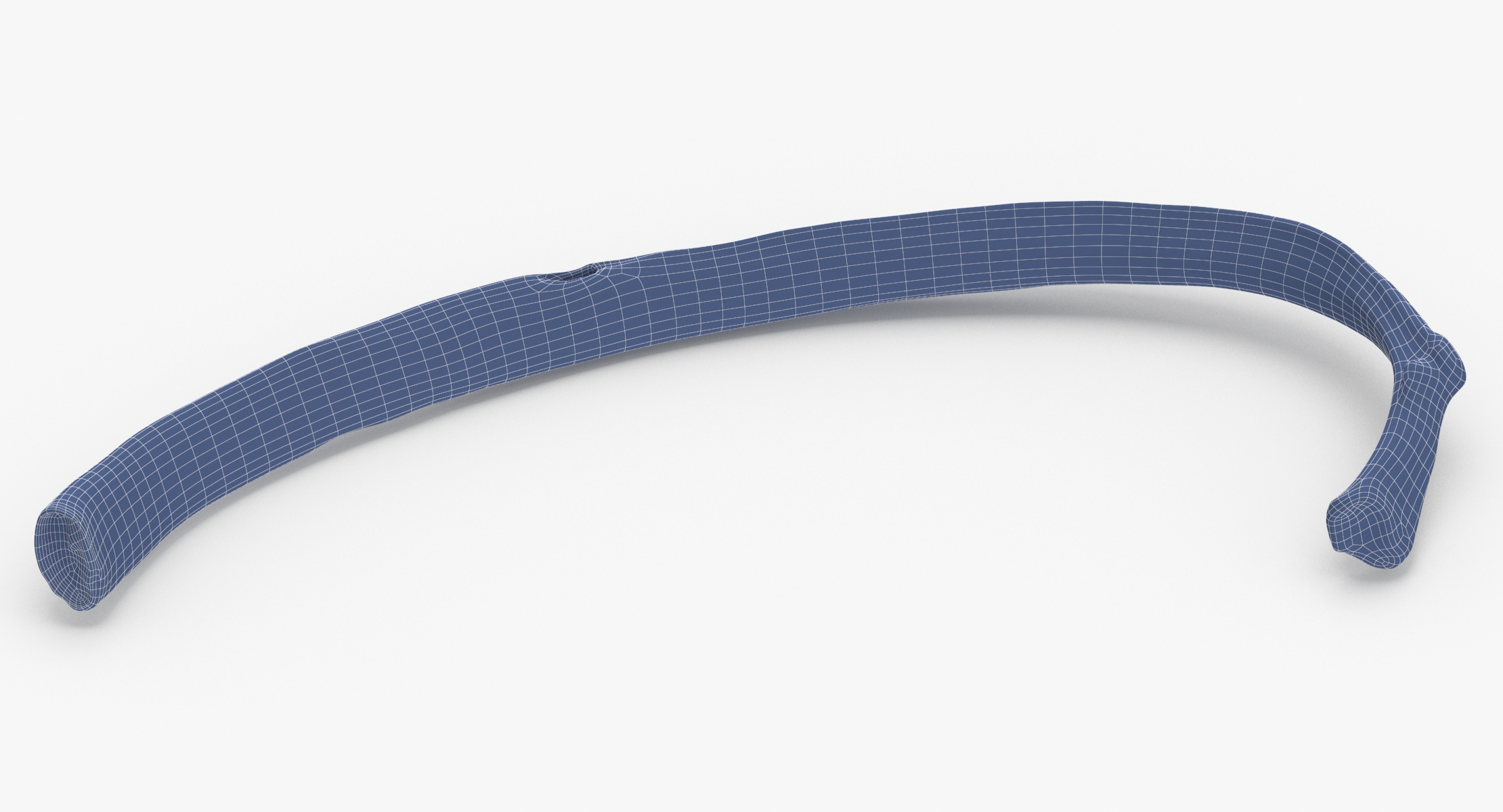 Costae spurie false rib model - TurboSquid 1658670