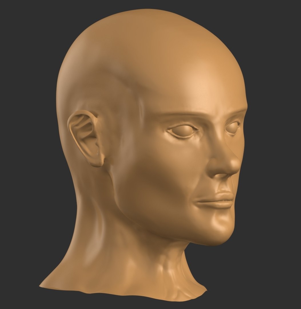 3D Human Head Model - TurboSquid 1374779