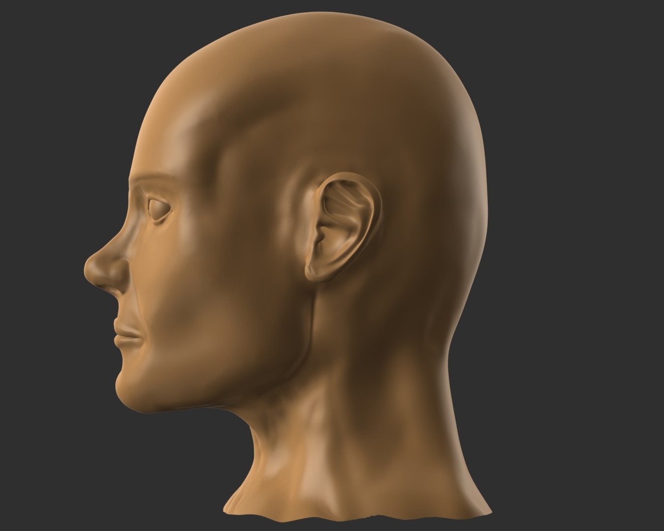 3D Human Head Model - TurboSquid 1374779