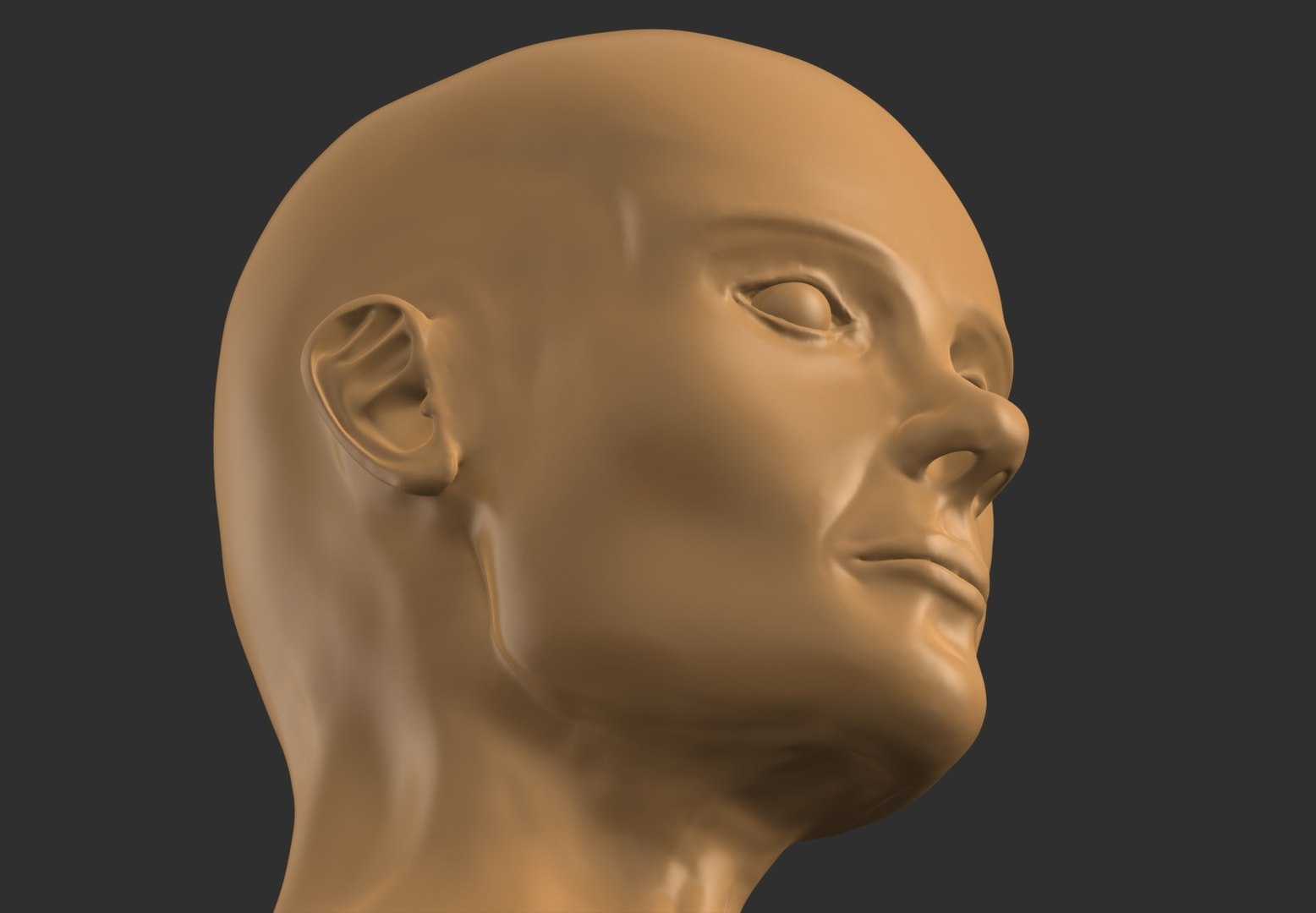 3D Human Head Model - TurboSquid 1374779