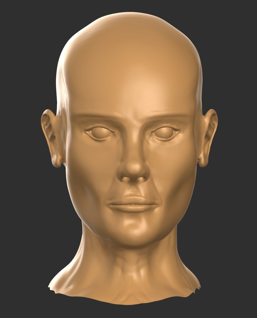 3D Human Head Model - TurboSquid 1374779