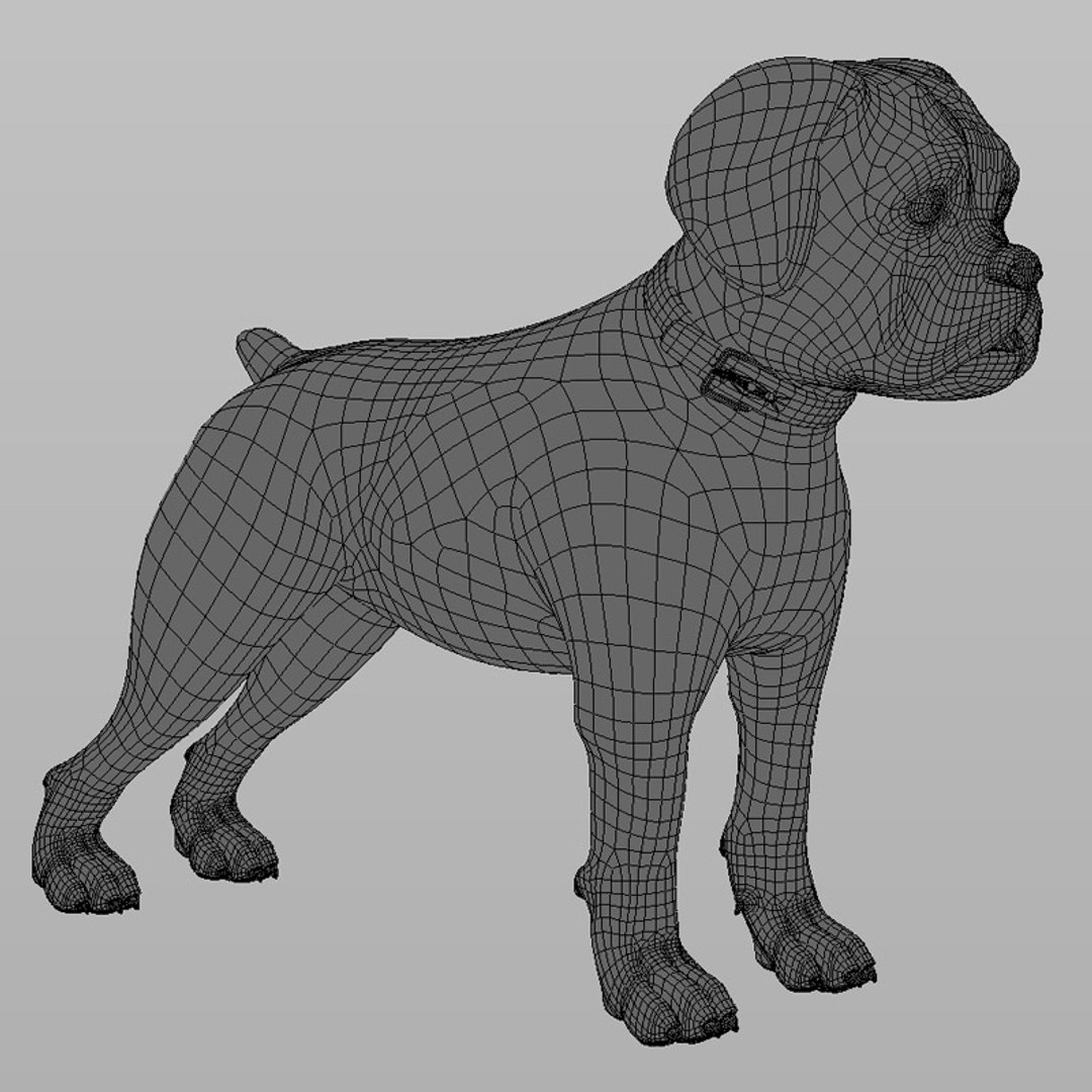 Boxer Puppy 3d Model