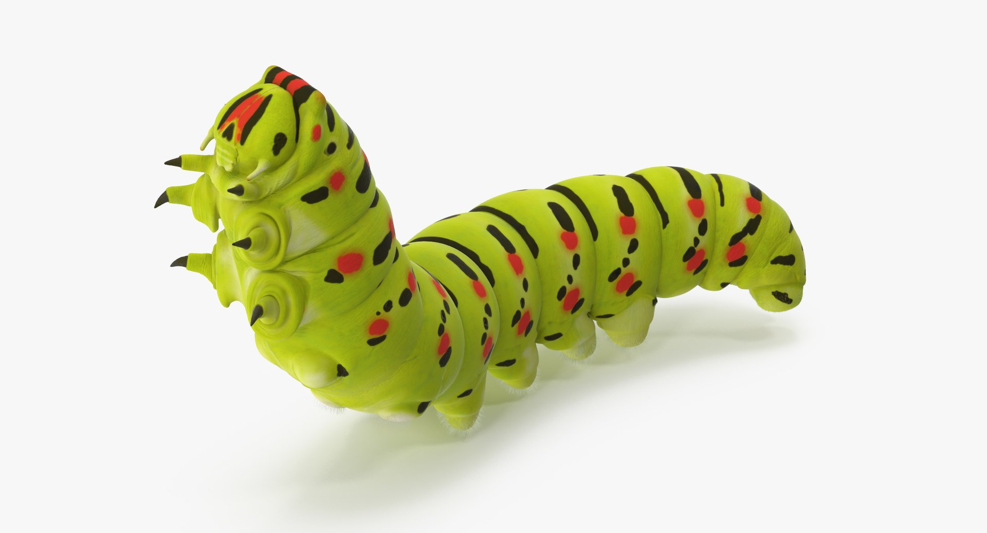 3d climbing caterpillar