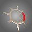 C4d Sun Moon Blades